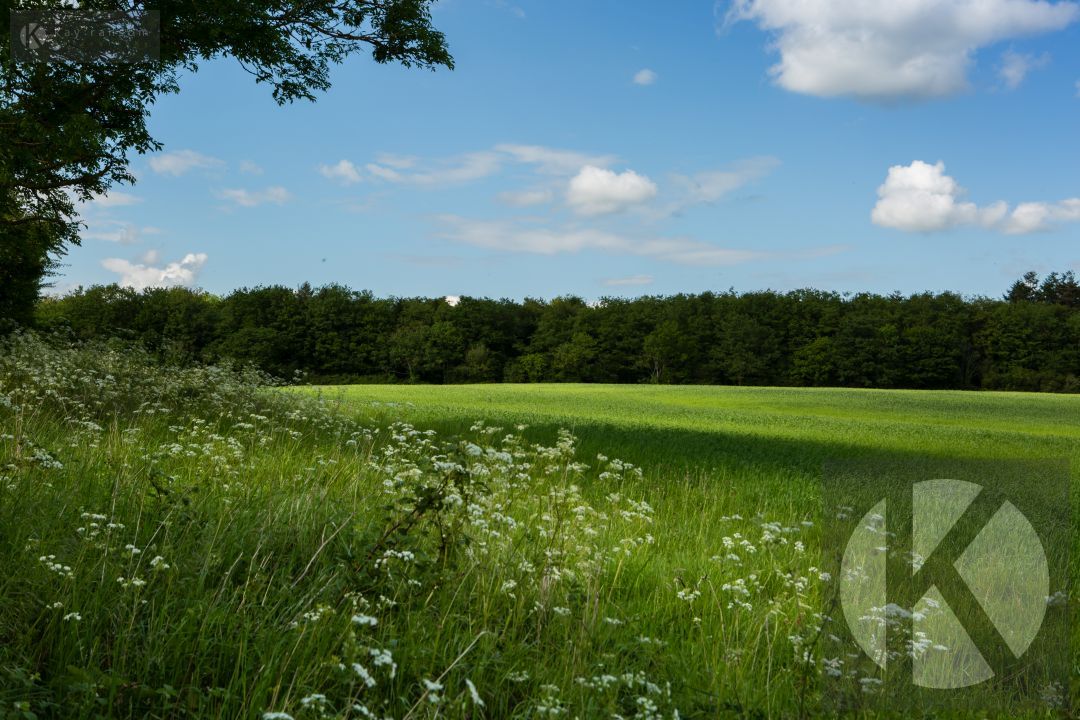 Farming Photography - Kay Ransom Photography