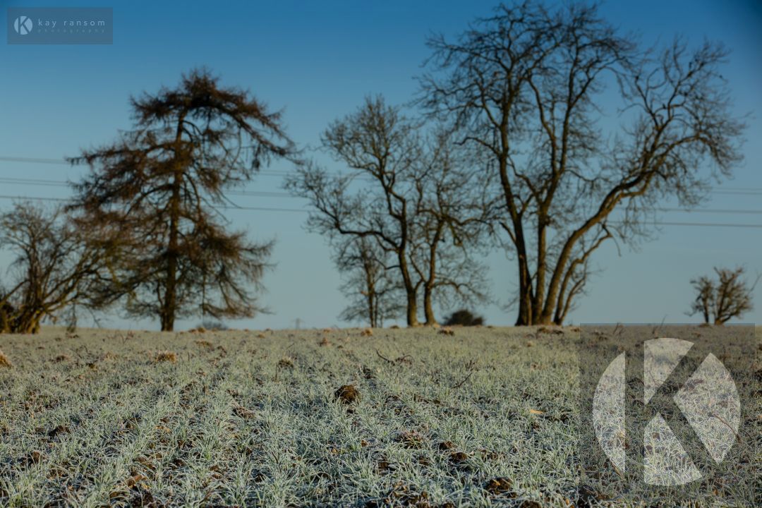 Farming Photography - Kay Ransom Photography