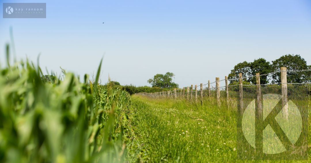 Farming Photography - Kay Ransom Photography